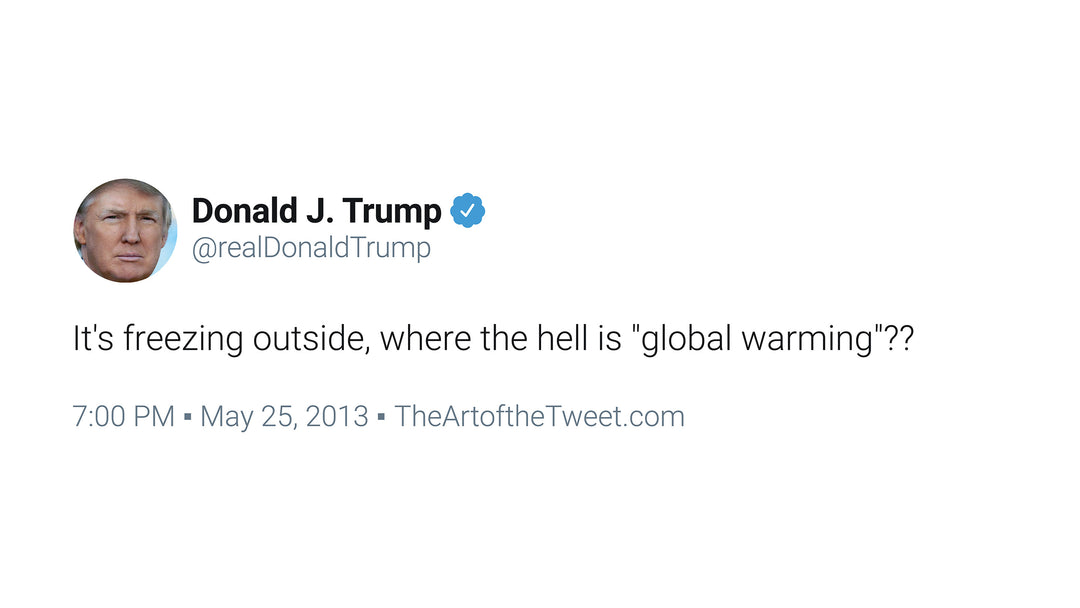 The Art of the Tweet